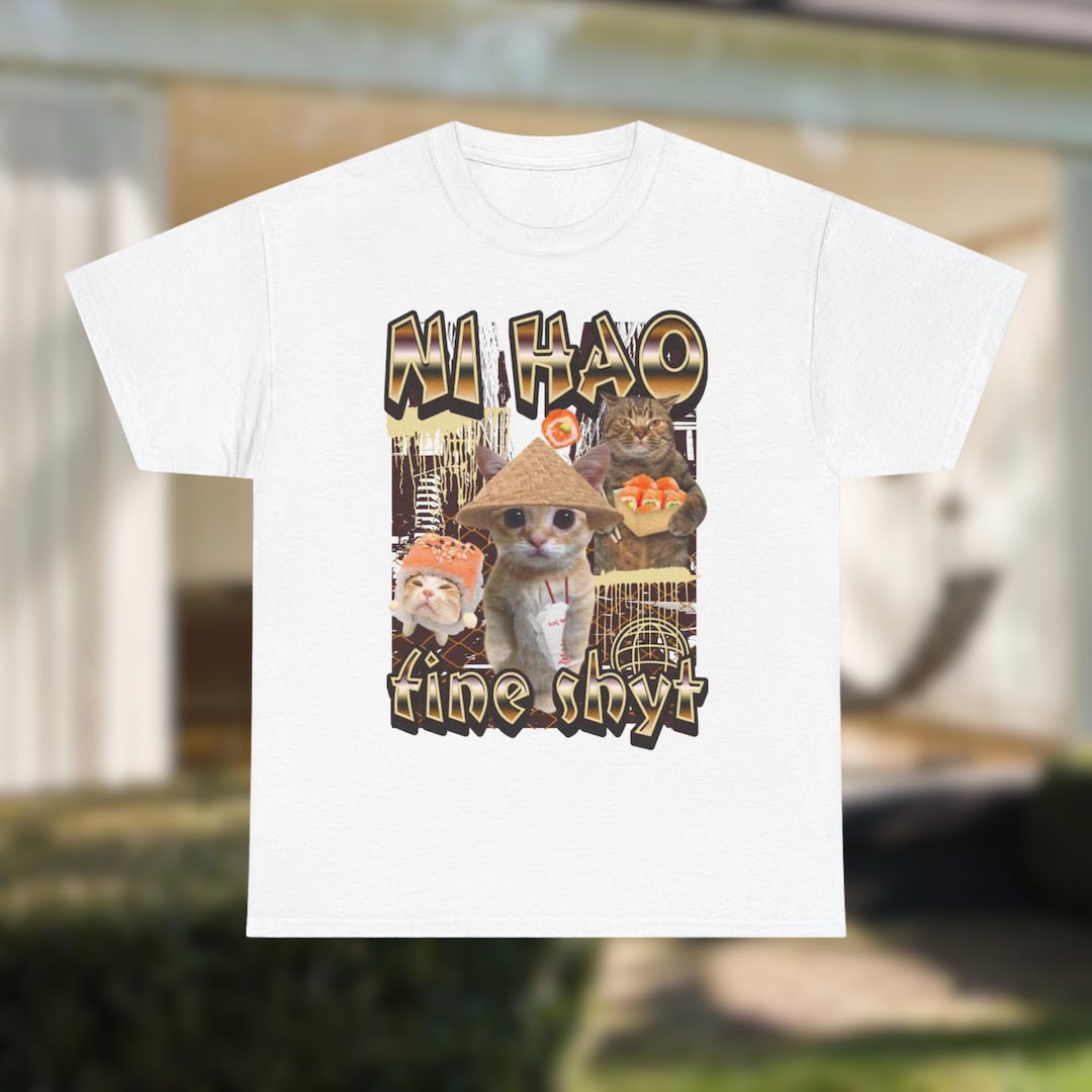 Ni Hao Fine Shyt Meme Brainrot Shirt, Funny Brainrot Gen Z Gift, Funny ...