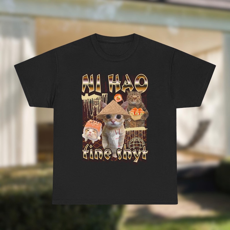 Ni Hao Fine Shyt Meme Brainrot Shirt, Funny Brainrot Gen Z Gift, Funny ...