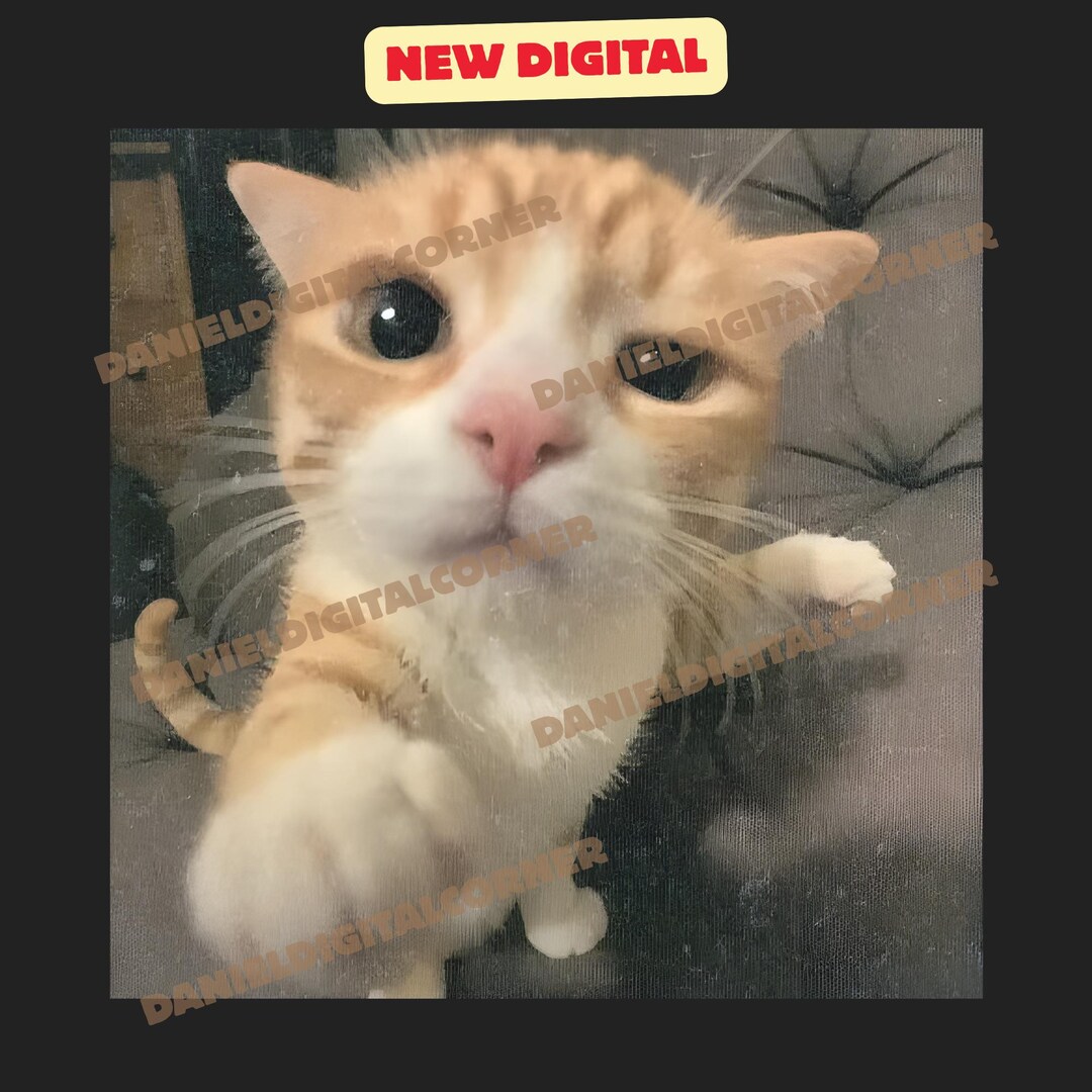 Funny Cats Meme Svg, Cute Cat Svg, Gen Z Joke Svg, Stupid Brainrot Svg, Cat Lover Gift, Funny ...