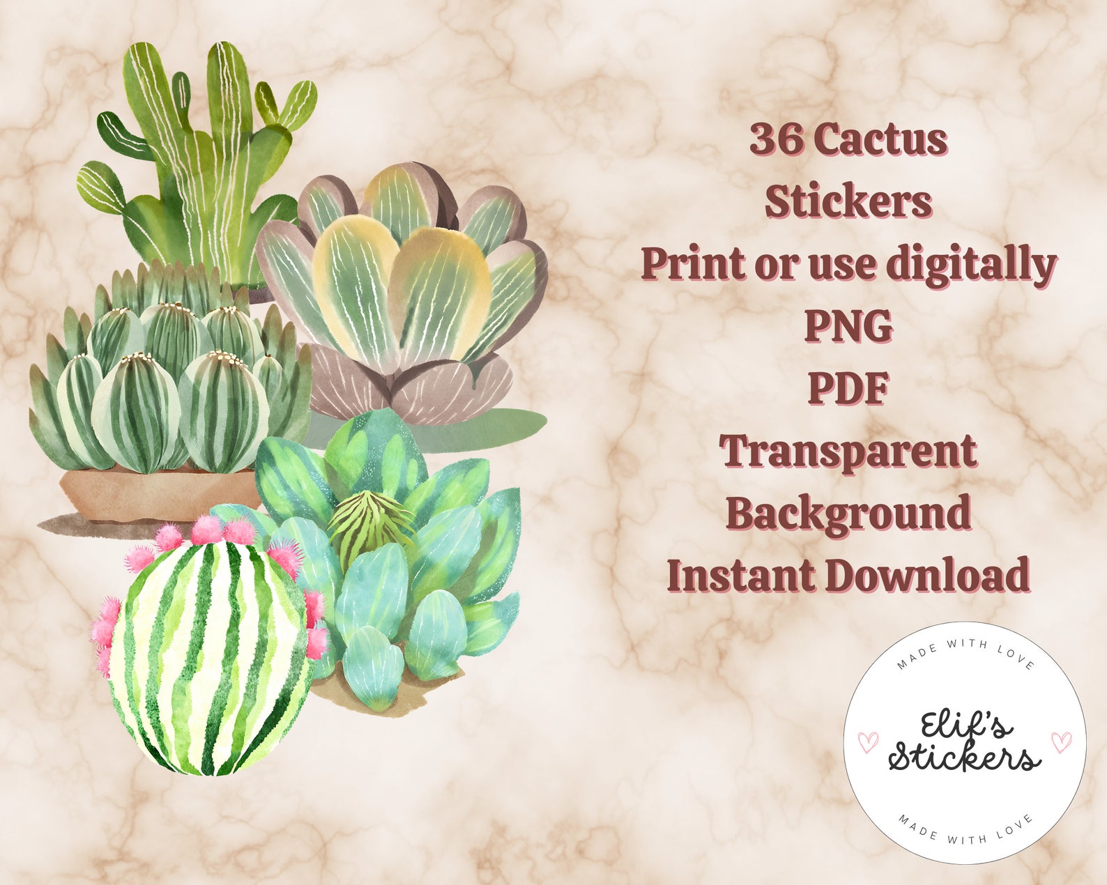 Digital Cactus PNG and PDF, Printable Cactus Stickers, Print and Cut ...