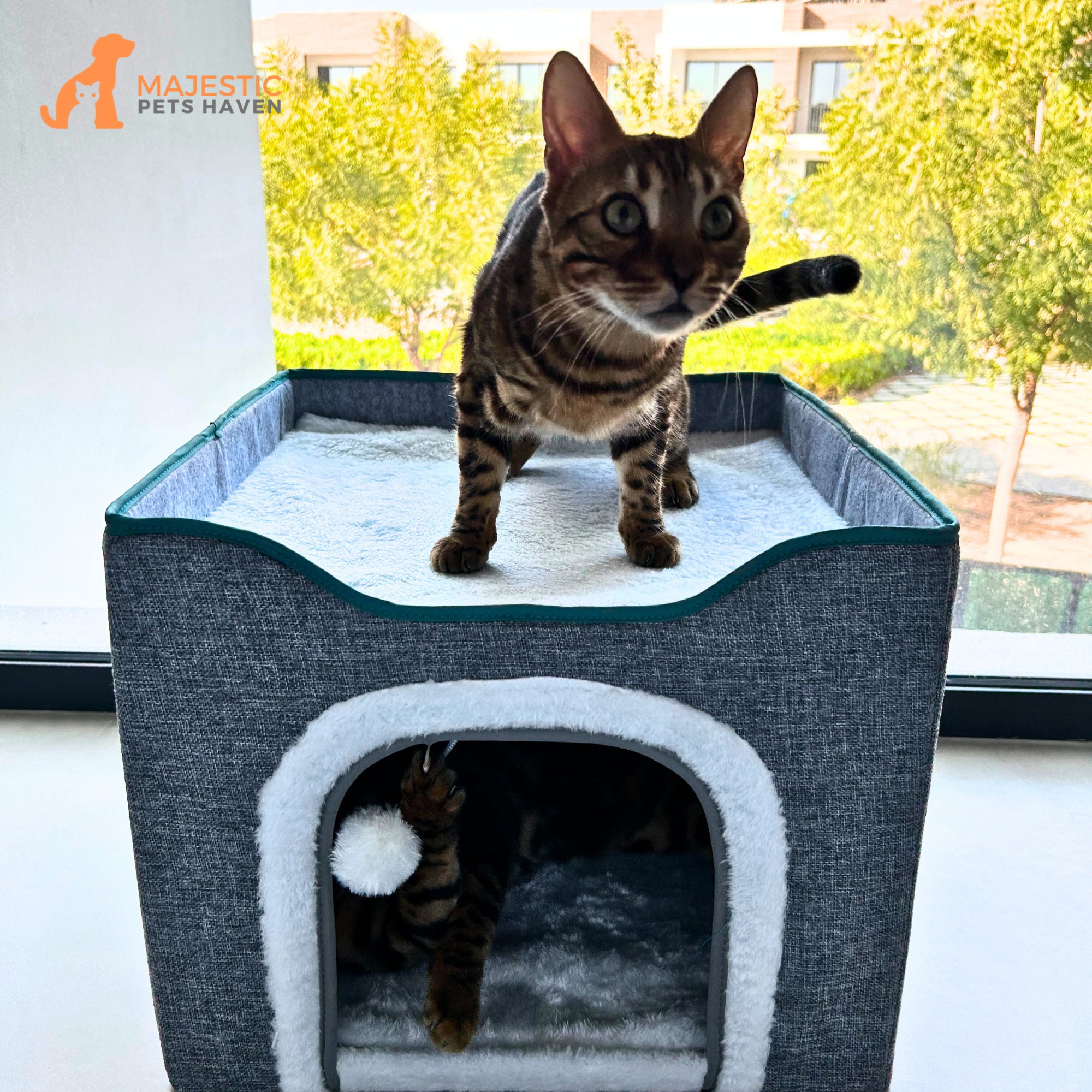Cat Tree Bedsure Large Cat Beds For Indoor Cats - Extra Wide Cat Cube ...