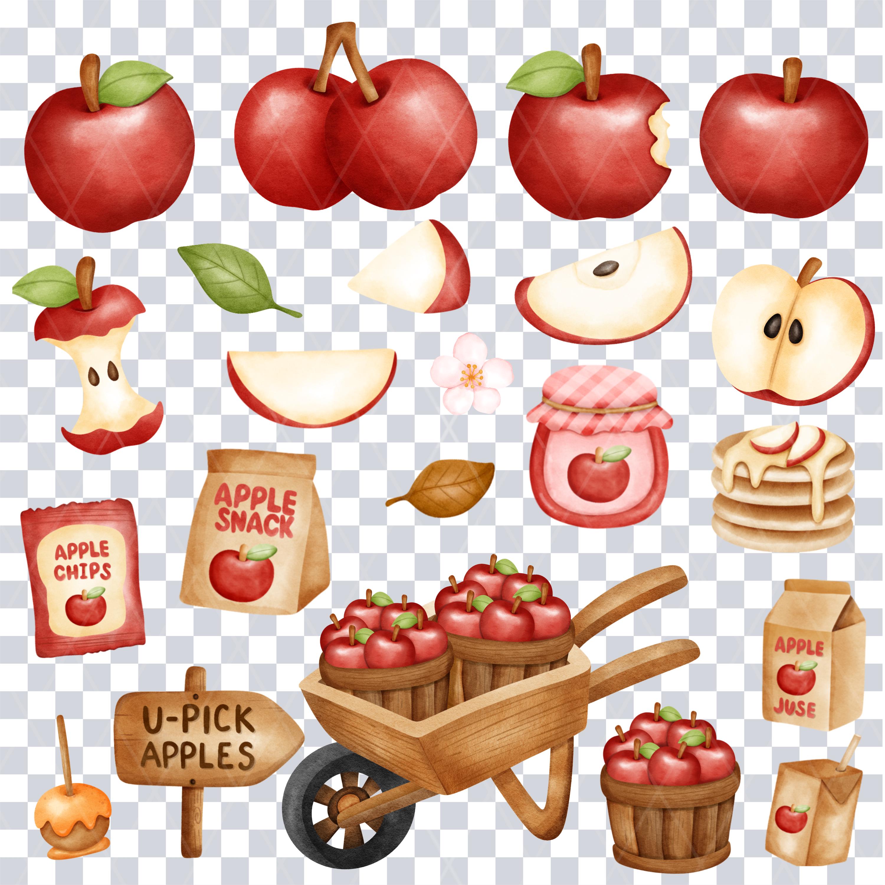 Autumn Apple Clipart, Fall Apple Png, Cozy Apple Watercolor, Hand Drawn ...