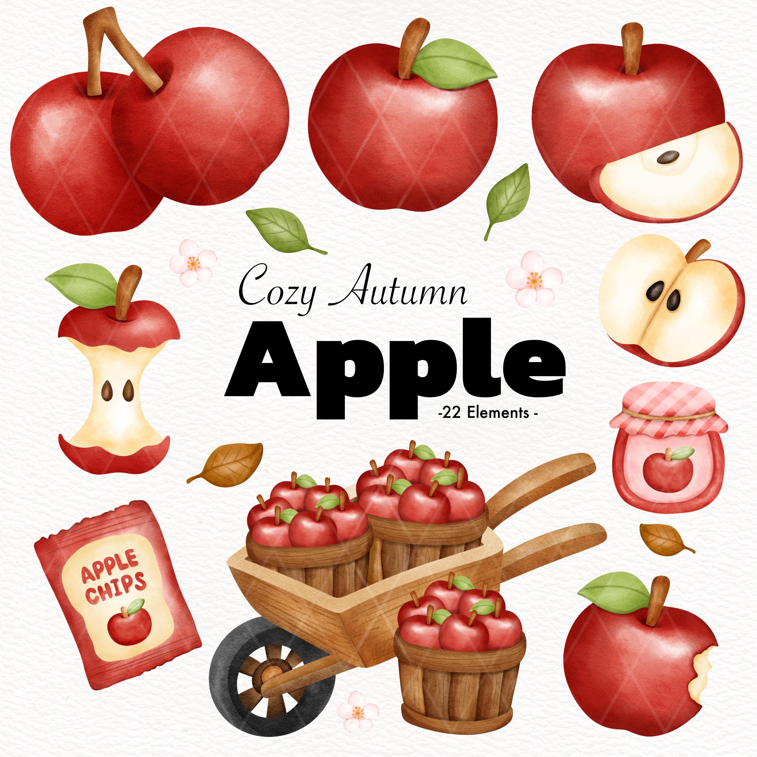 Autumn Apple Clipart, Fall Apple Png, Cozy Apple Watercolor, Hand Drawn ...