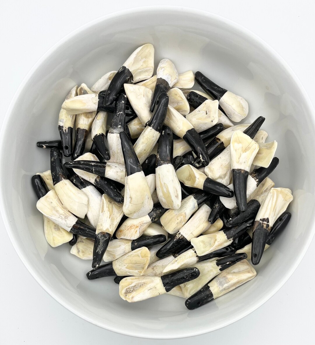 10pc Water Buffalo Teeth, Bone Tooth, Bone Beads, Tooth Pendant, Tribal ...