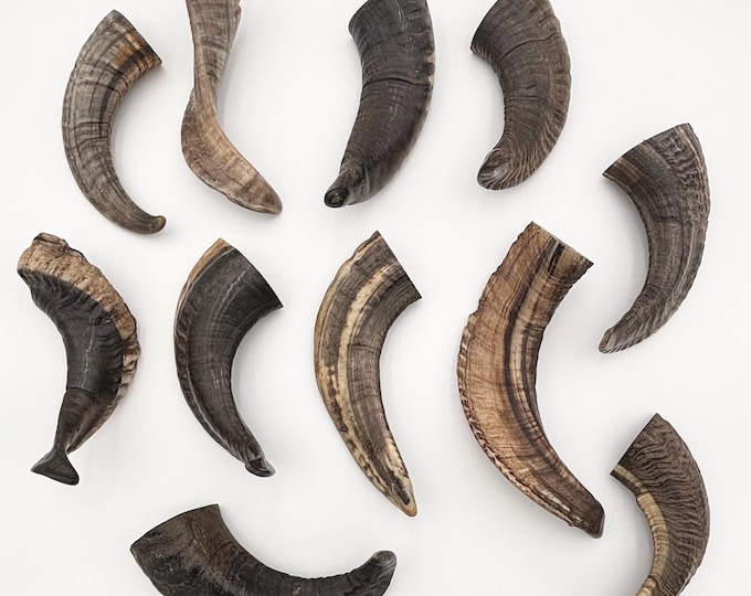 Hide & Horn - Etsy UK