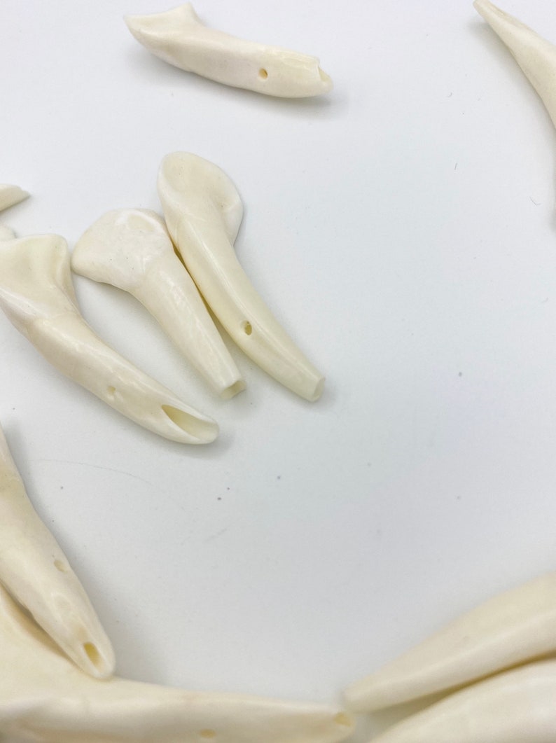 10pc Water Buffalo Teeth Bone Tooth Bone Beads Tooth - Etsy