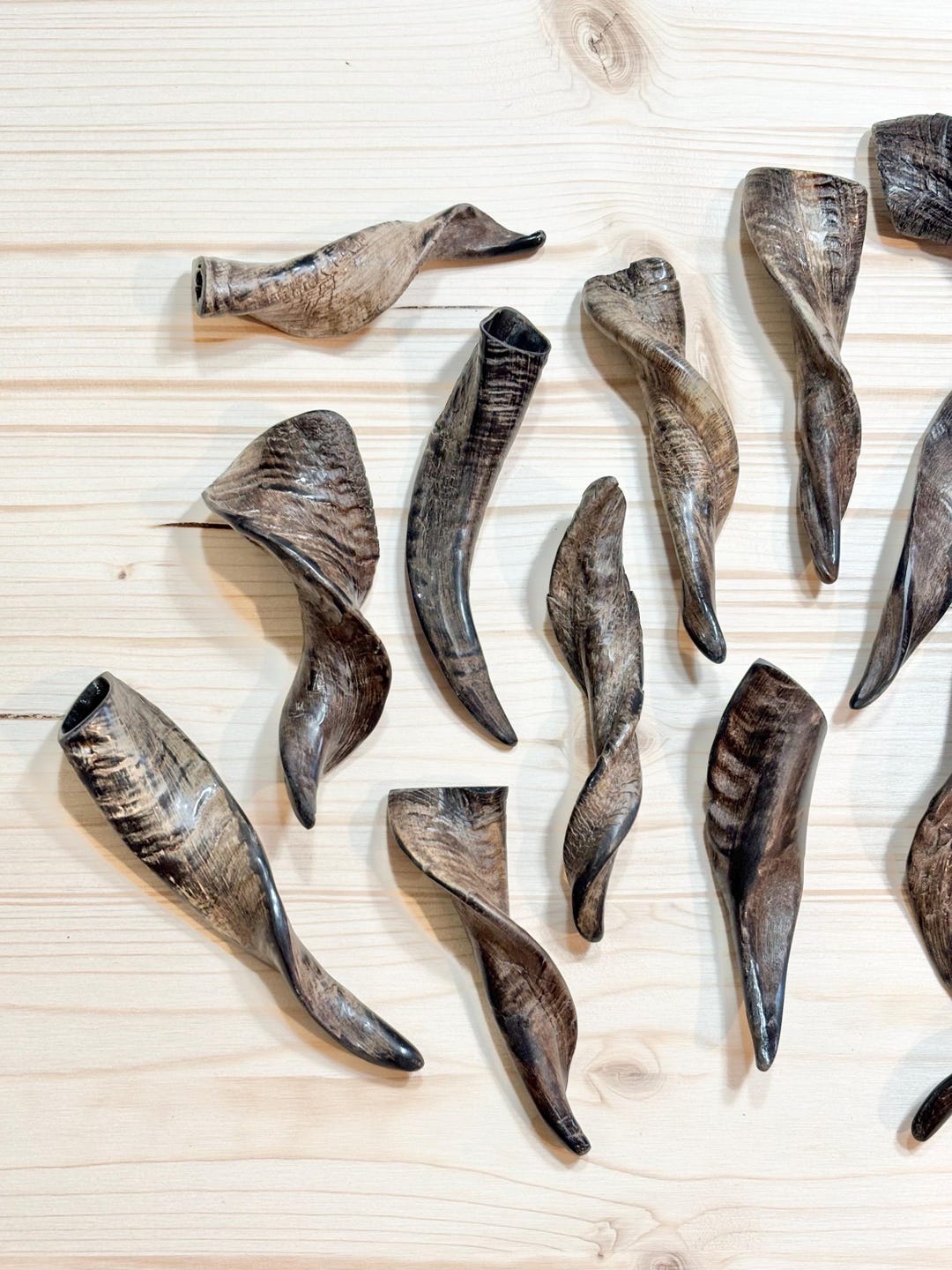 Petite Goat Horns, Twisted Goat Horns, 4-6" Goat Horn Tip, Black Horn ...