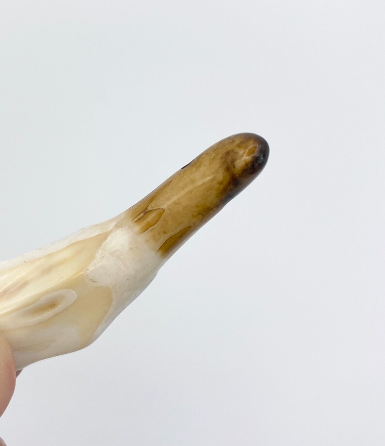 5pc Water Buffalo Teeth Bone Tooth Bone Beads Tooth - Etsy