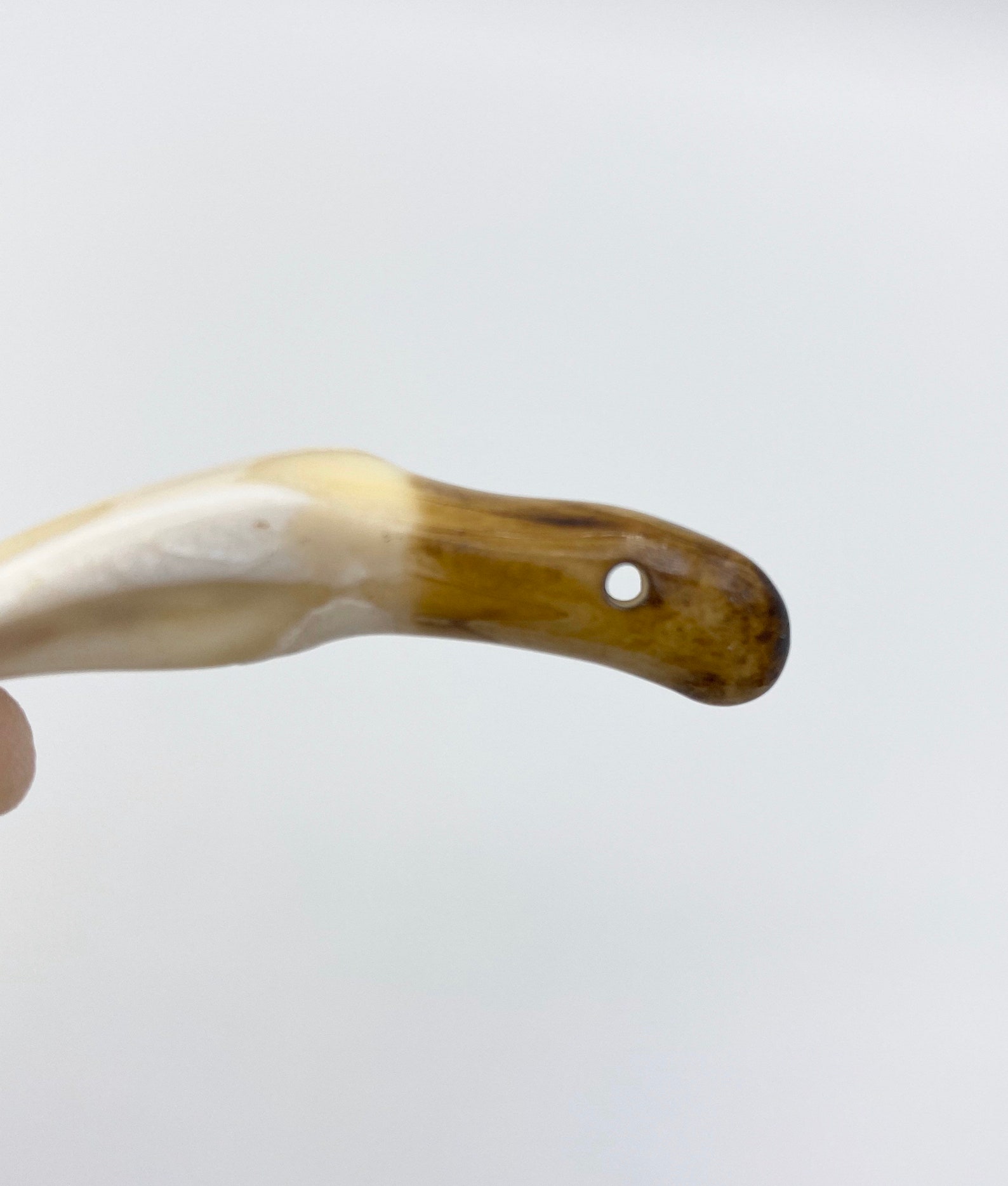 5pc Water Buffalo Teeth Bone Tooth Bone Beads Tooth - Etsy