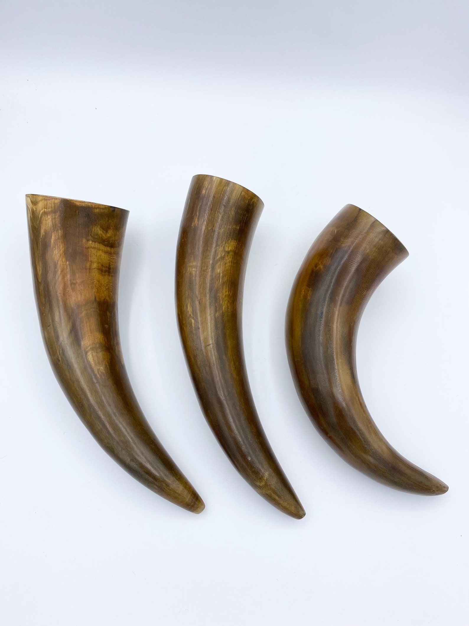 6-9" Burnt Tip Water Buffalo Horn, Polished Horn, Longhorn Tip, Steer ...