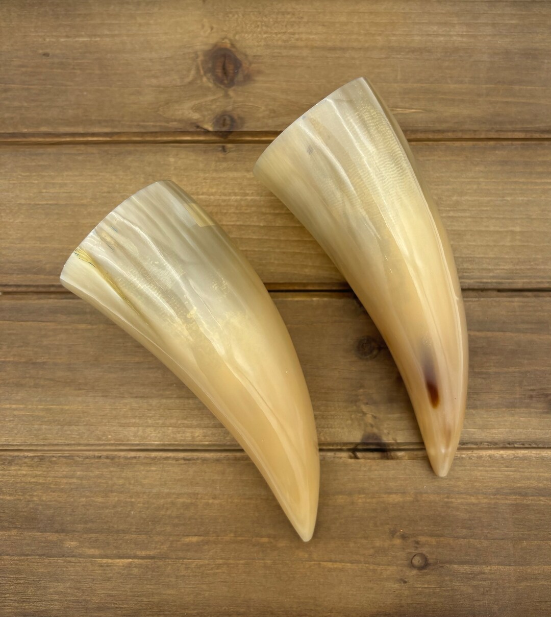 2pc 6 Steer Horn Pair, Polished Horn, Longhorn Tip, Beige Horn, Marbled ...