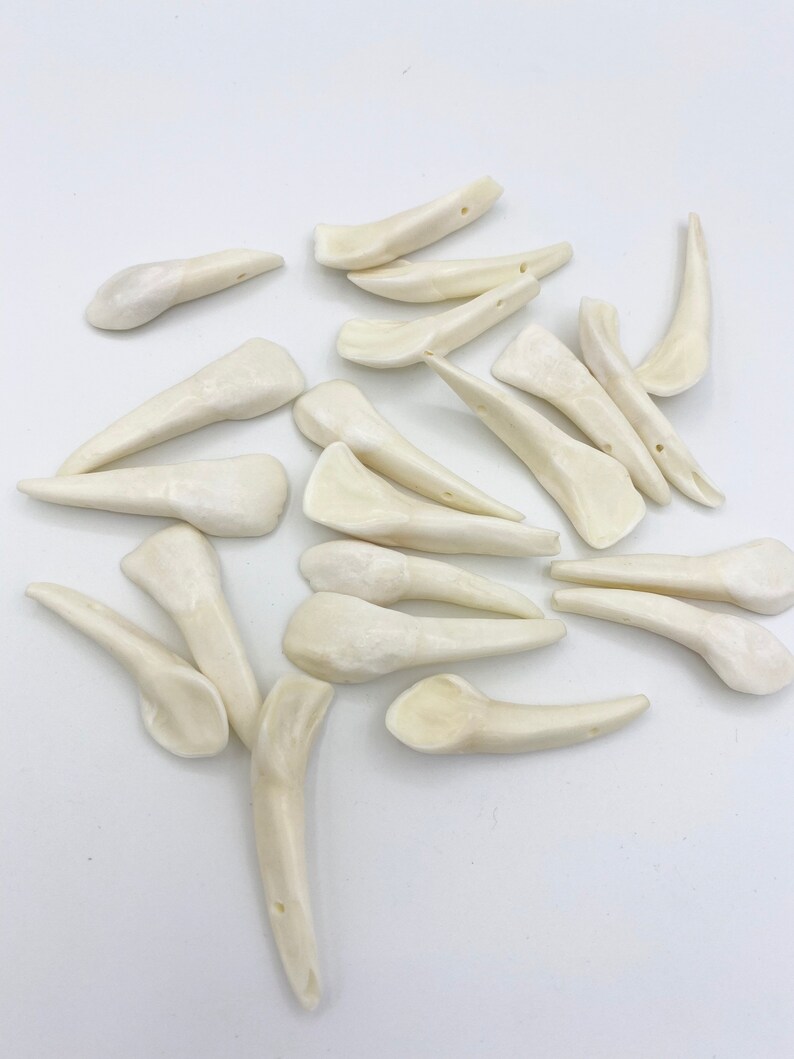 10pc Water Buffalo Teeth Bone Tooth Bone Beads Tooth - Etsy