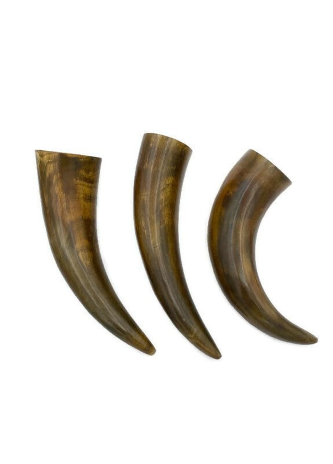 6-9" Burnt Tip Water Buffalo Horn, Polished Horn, Longhorn Tip, Steer ...