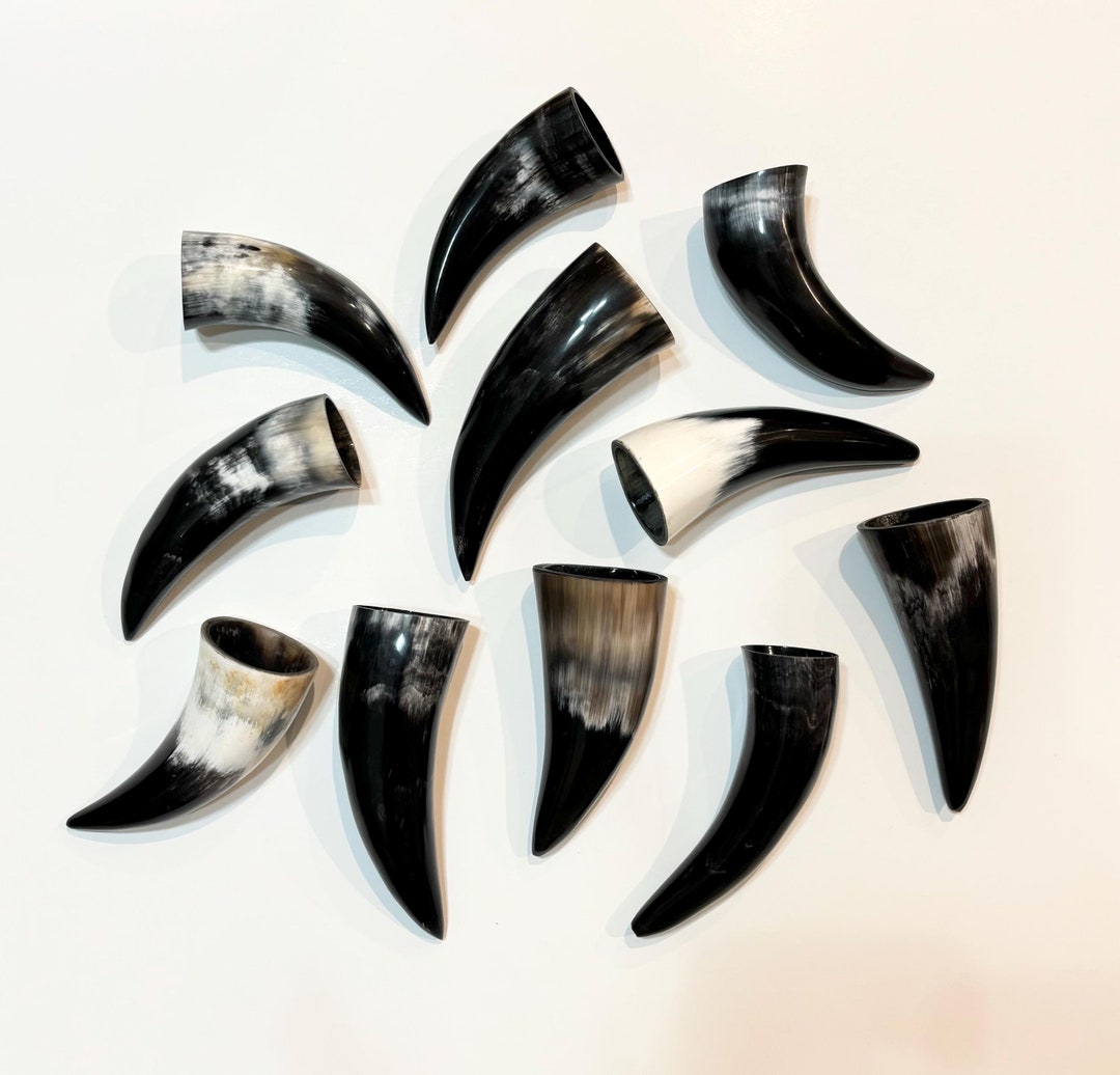 Small Water Buffalo Horns, 4 to 6 Horns, Polished Horn, Longhorn Tip ...