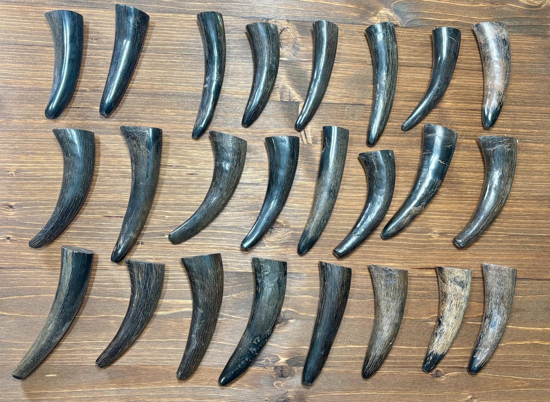 Solid Horn Tip, Water Buffalo Horn Tip, Black Textured Horn, Black Horn ...