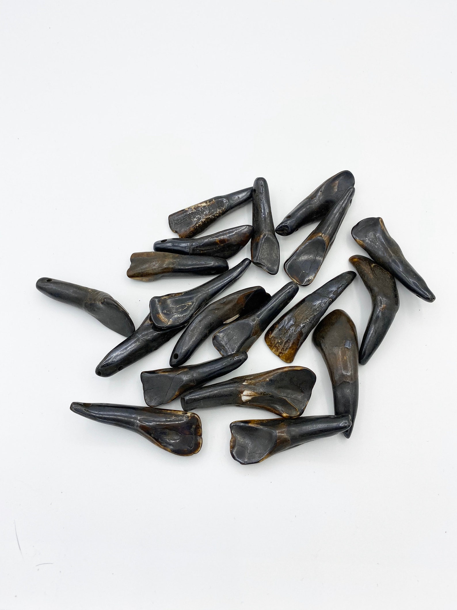 5pc Water Buffalo Teeth Bone Tooth Bone Beads Tooth - Etsy