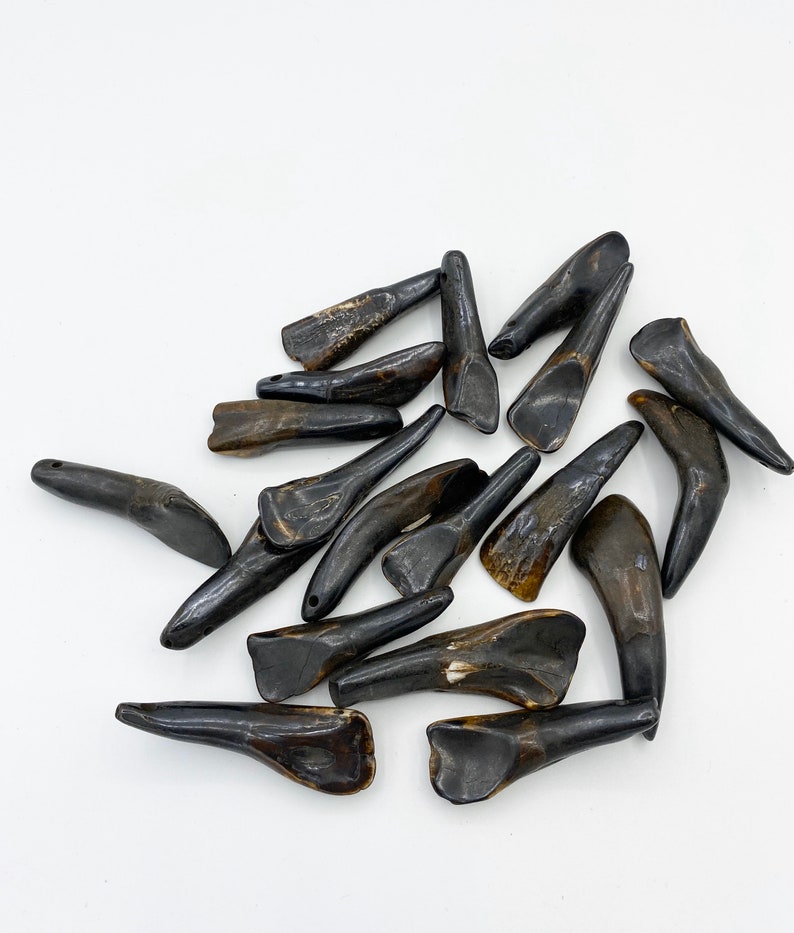 5pc Water Buffalo Teeth Bone Tooth Bone Beads Tooth - Etsy