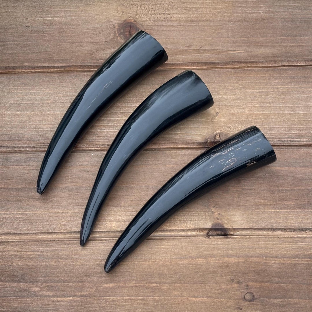 5" Black Horn Tip, Water Buffalo Horn Tip, Solid Horn Tip, Black Horn ...