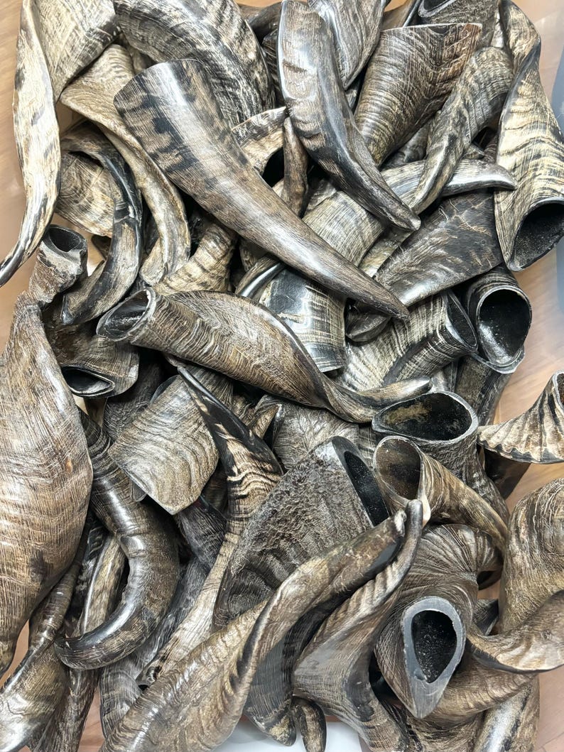 4-9" Goat Horn Tips, Black Goathorn, Natural Horn, Animal Horn, Horn ...