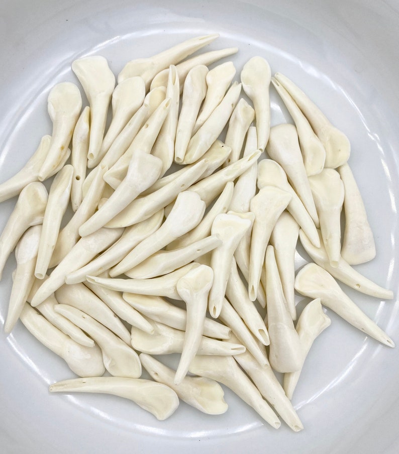 10pc Water Buffalo Teeth Bone Tooth Bone Beads Tooth - Etsy