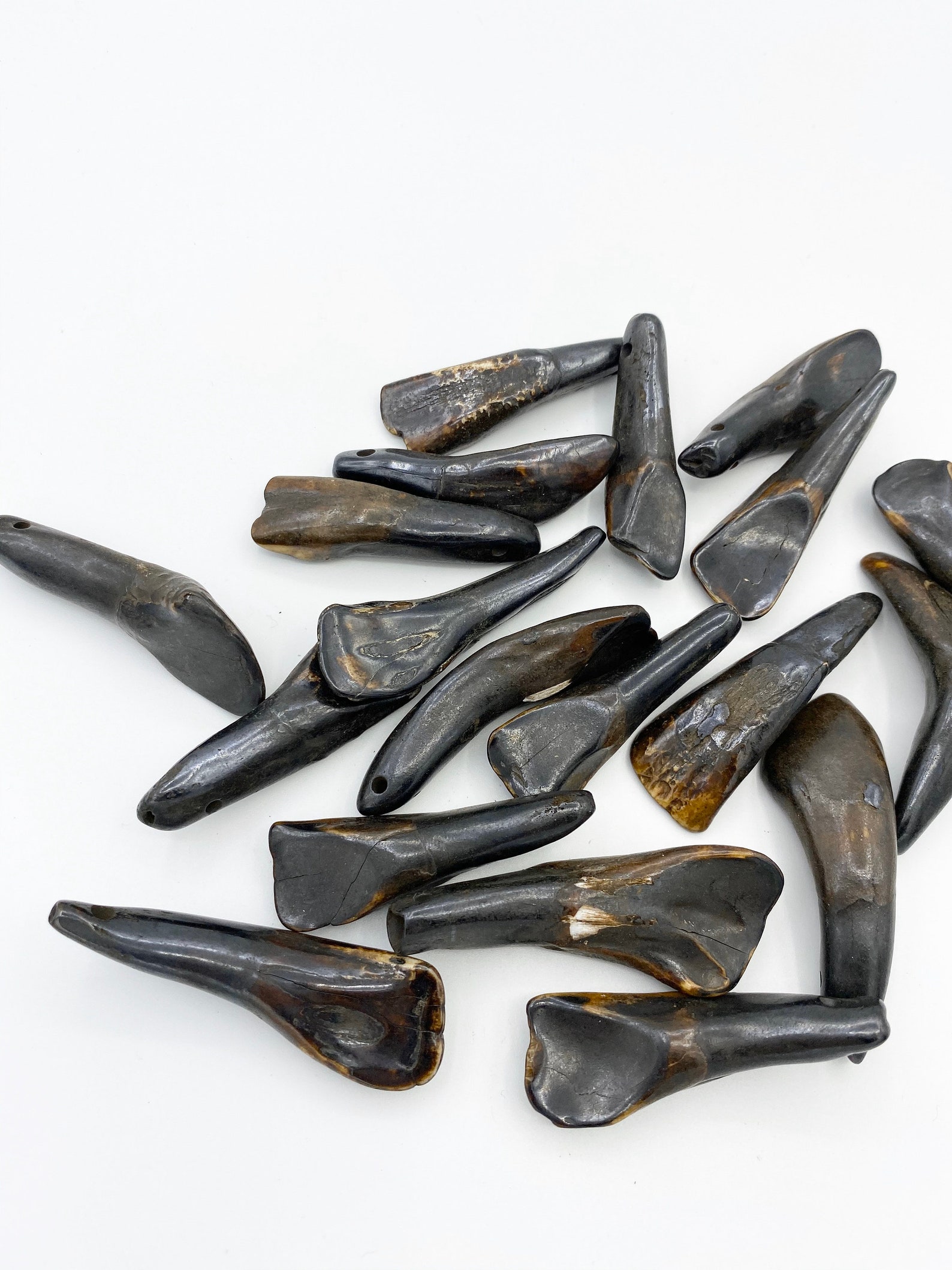 5pc Water Buffalo Teeth Bone Tooth Bone Beads Tooth - Etsy