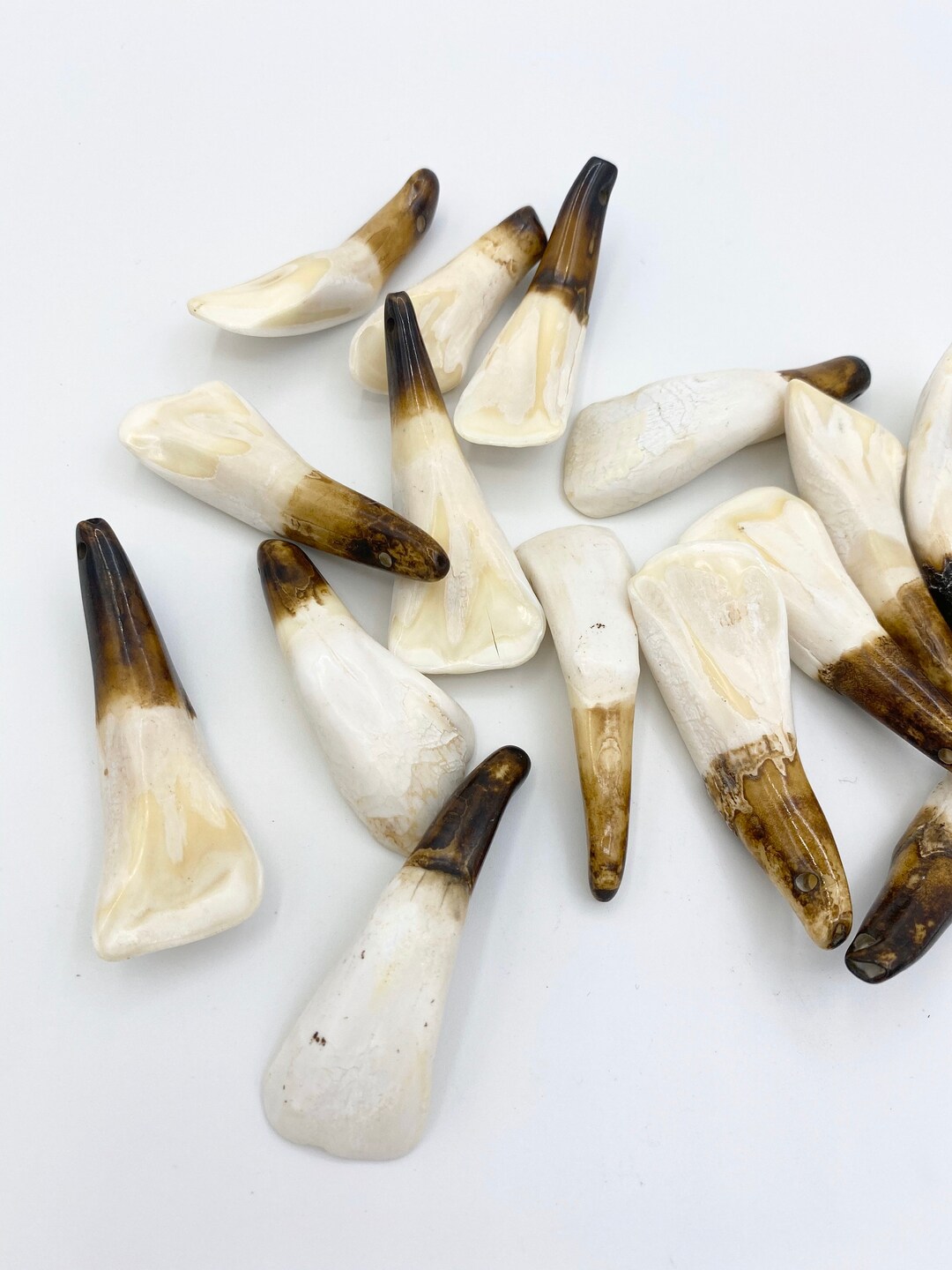 5pc Water Buffalo Teeth, Bone Tooth, Bone Beads, Tooth Pendant, Tribal ...