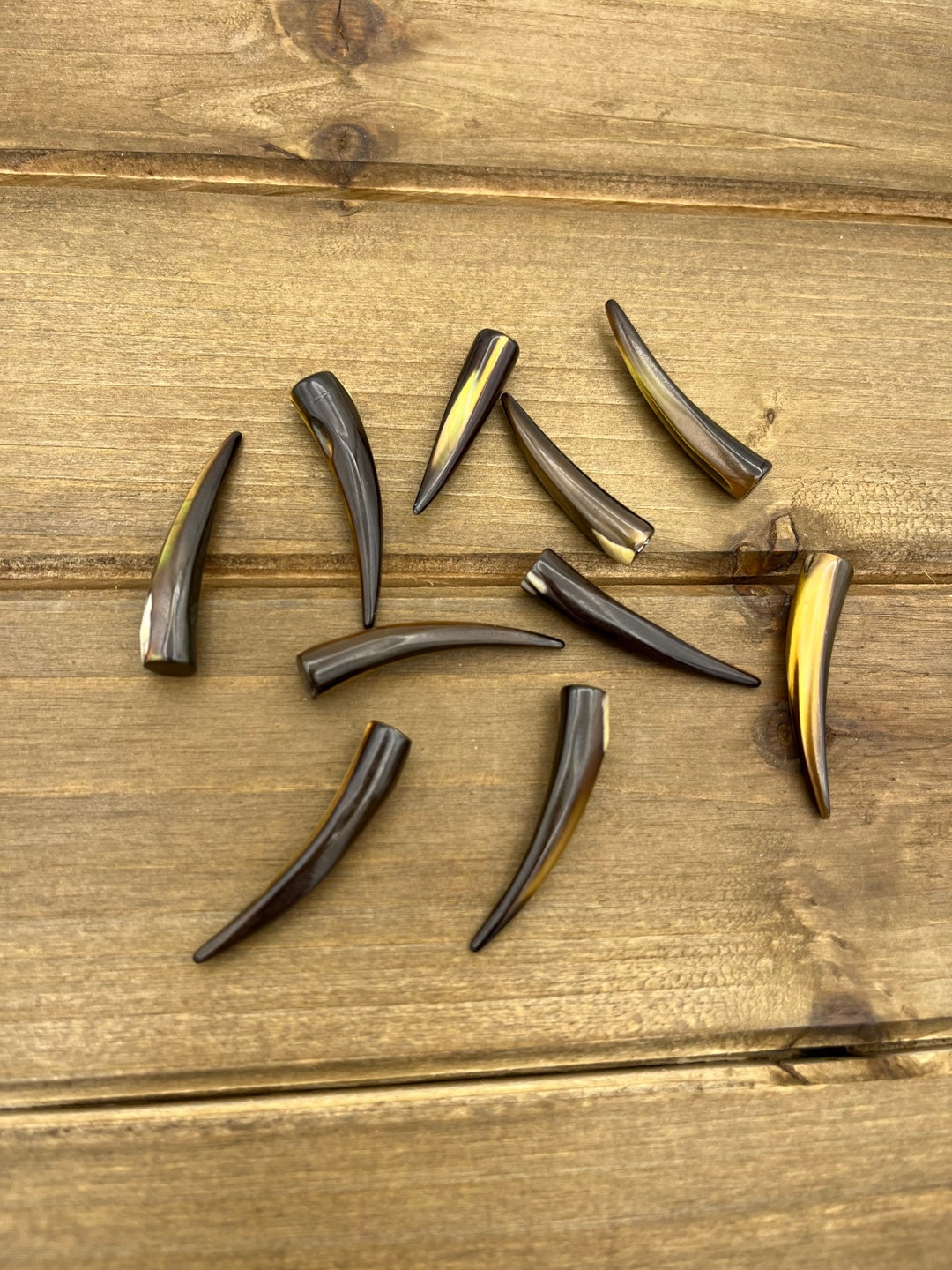 5pc 1.25" Black Shell Tusks, Shell Spike, Cabochon, Horn Shaped, Pearl ...