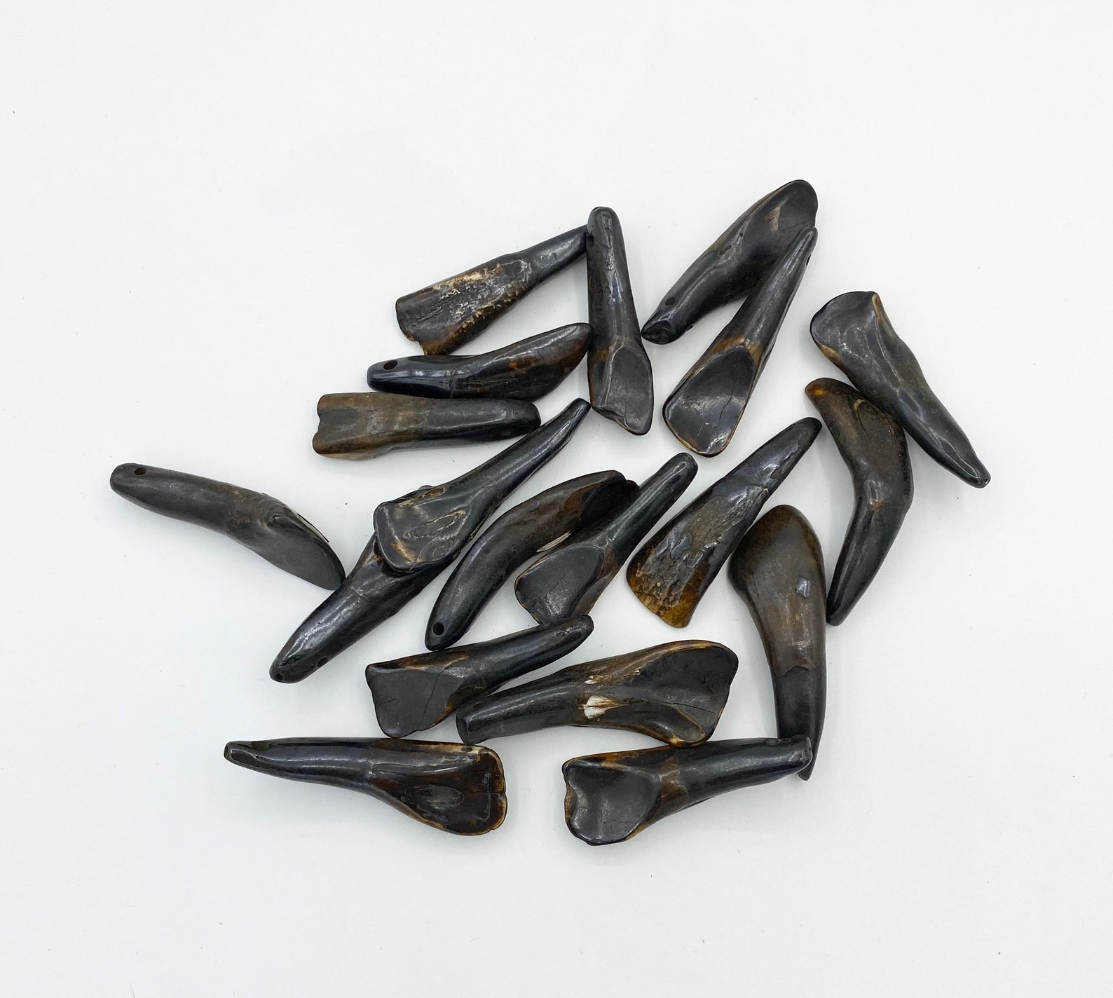 5pc Water Buffalo Teeth Bone Tooth Bone Beads Tooth - Etsy