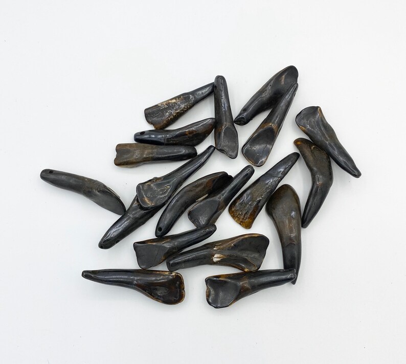 5pc Water Buffalo Teeth Bone Tooth Bone Beads Tooth - Etsy