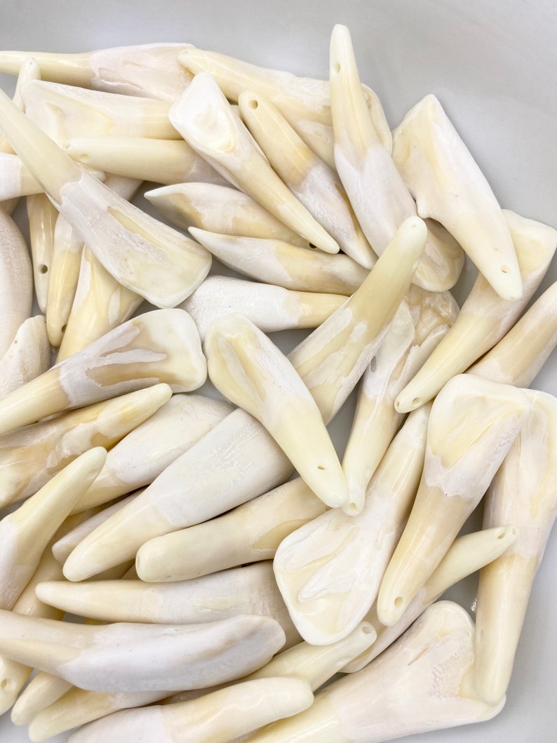 5pc+ Water Buffalo Teeth, Bone Tooth, Bone Beads, Tooth Pendant, Tribal ...