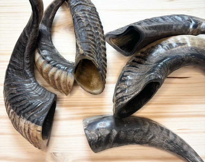 Hide & Horn - Etsy UK