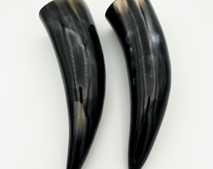 Large 2pc 9.5" Horn Pair, Water Buffalo Horns, Polished Horn, Longhorn ...