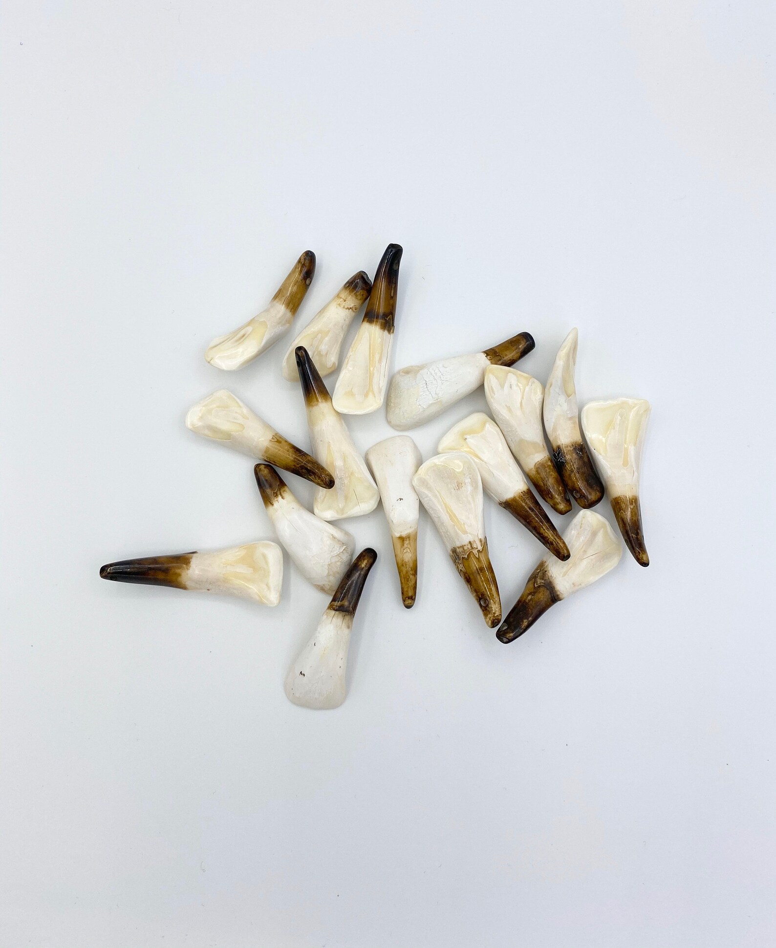 5pc Water Buffalo Teeth Bone Tooth Bone Beads Tooth - Etsy