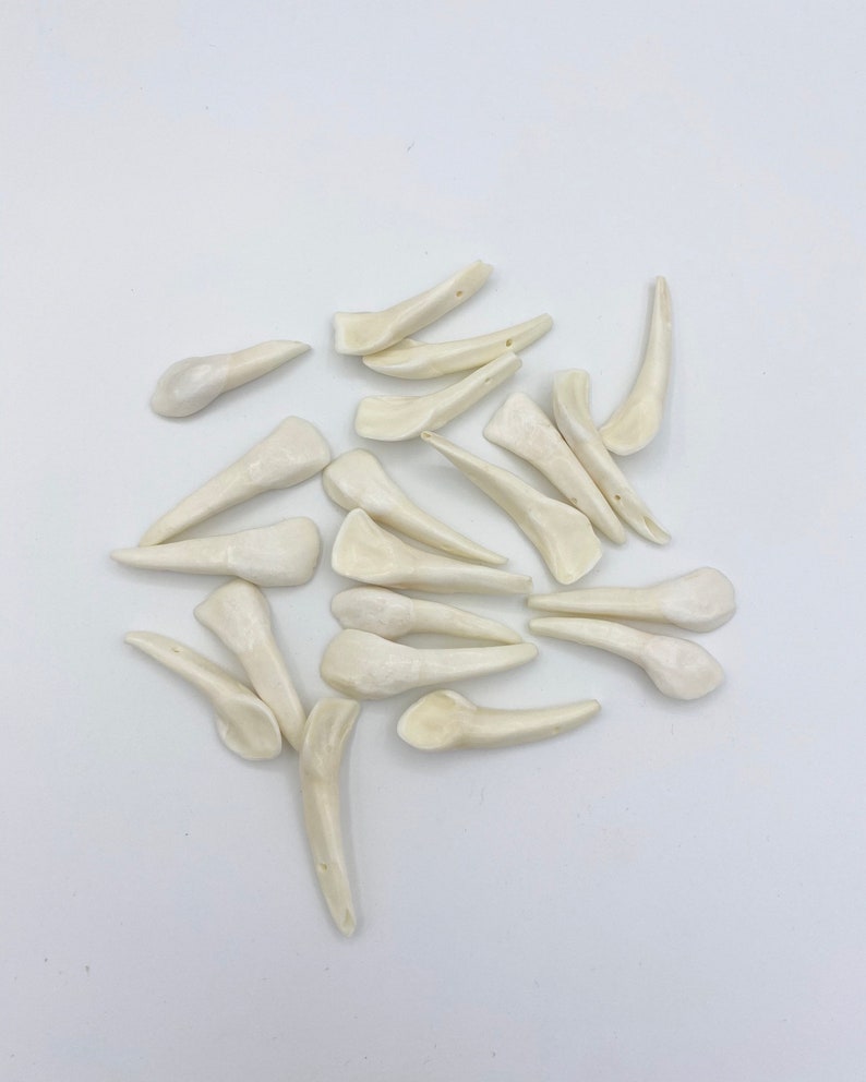 10pc Water Buffalo Teeth Bone Tooth Bone Beads Tooth - Etsy