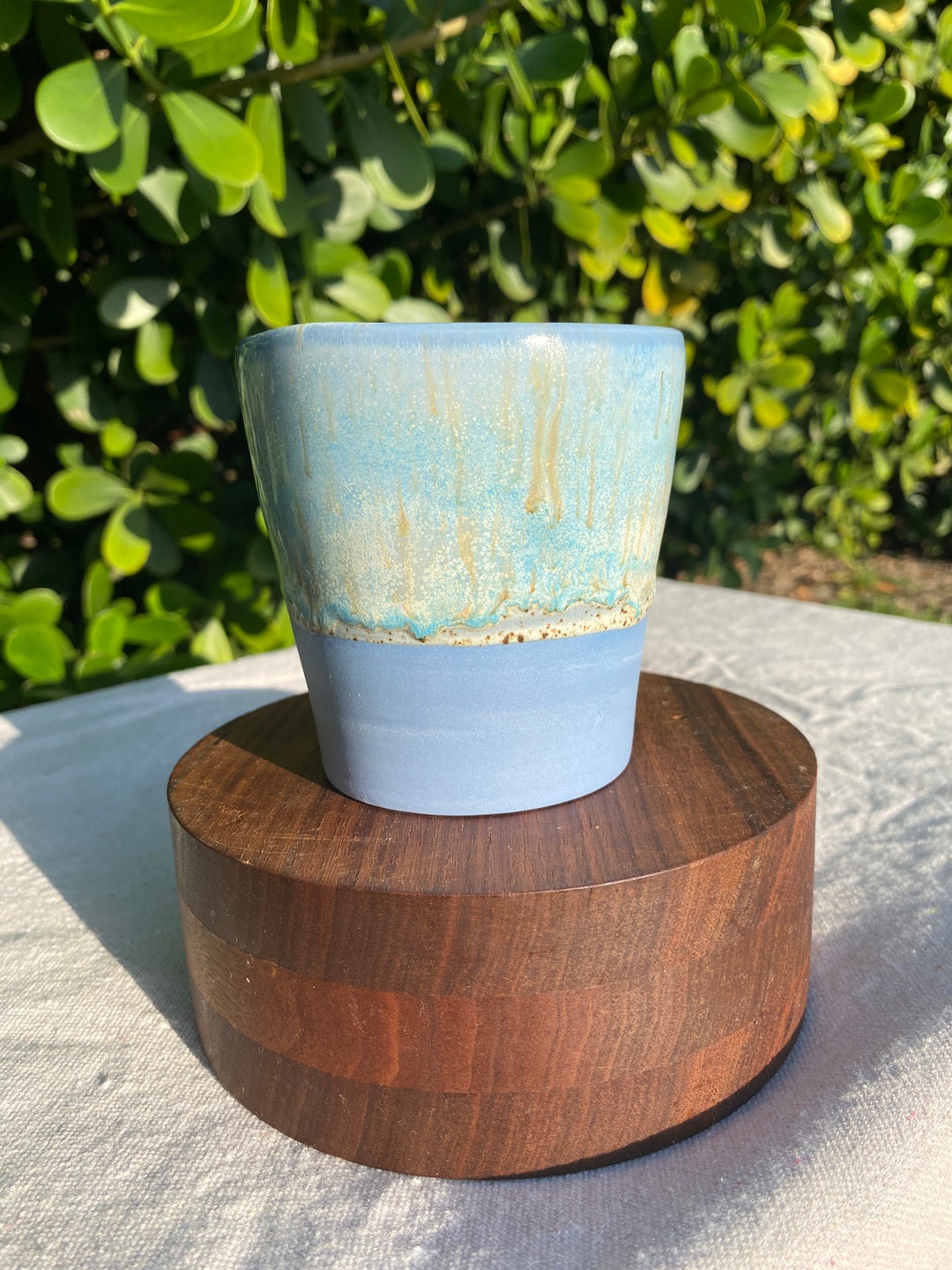 Sand & Sea Ocean-inspired Planter Pot for Succulents and Houseplants - Etsy
