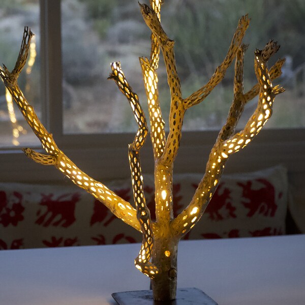 Cholla Wood - Etsy