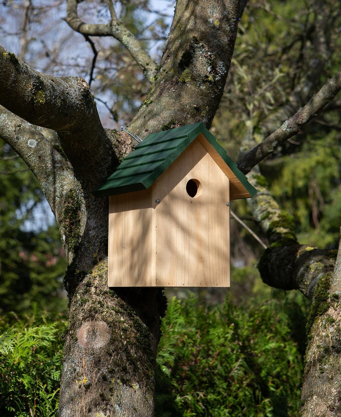 Bird House/ Handmade Birdhouse/ Wooden Bird House/ Bird Box/ Bird ...