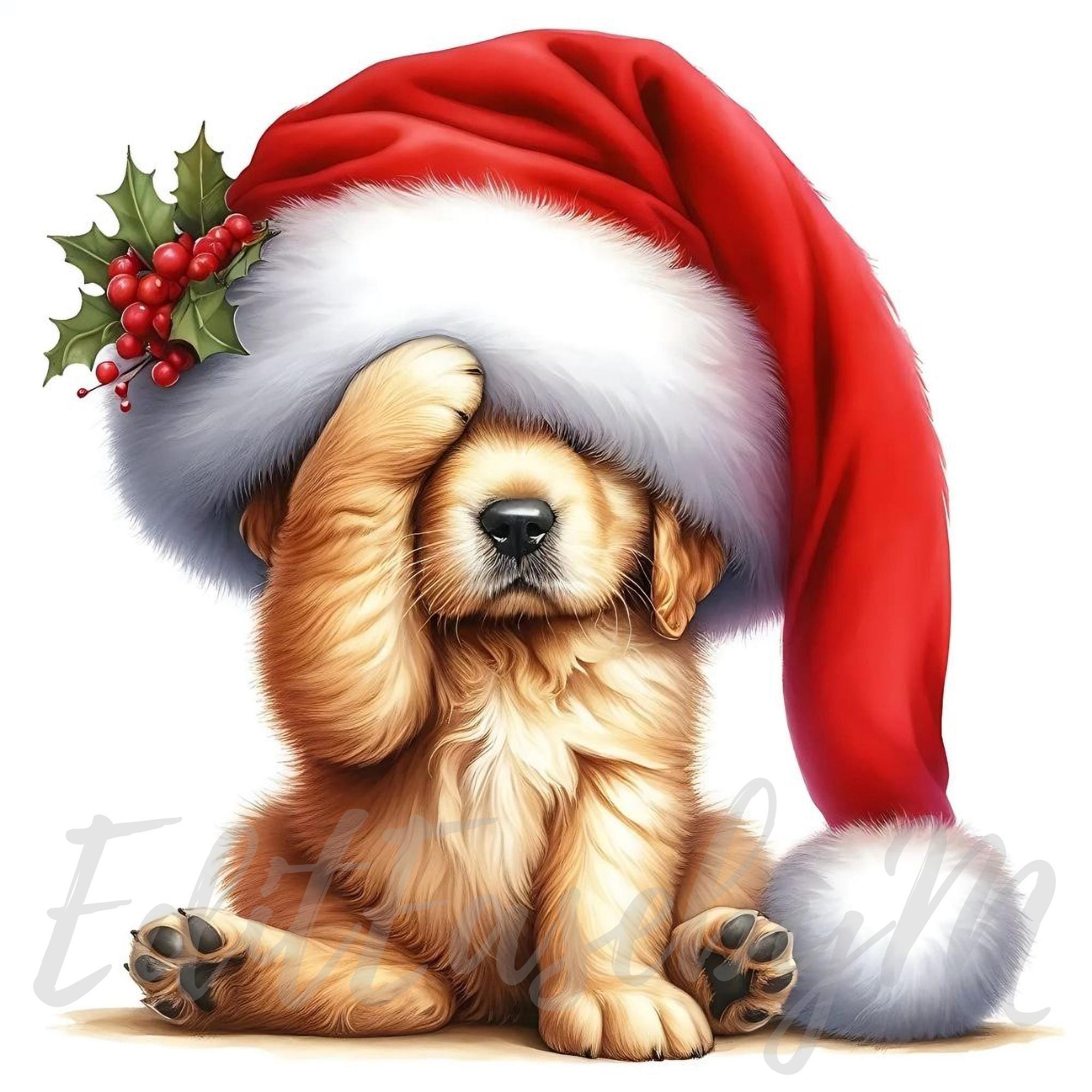 Quirky Christmas Dog Clipart | 10 High-quality 300 DPI Jpegs Commercial ...