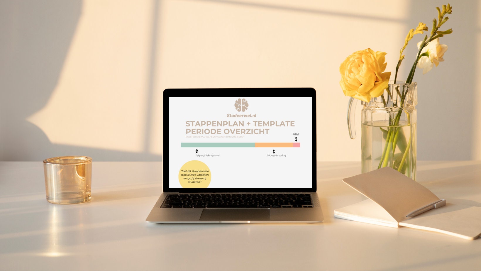 Stappenplan Template Periode Overzicht - Etsy