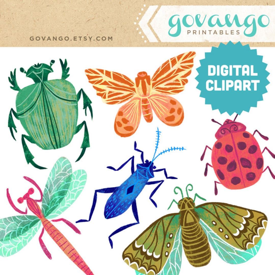 BUGS Digital Clipart Instant Download Illustration Beetle Dragonfly ...