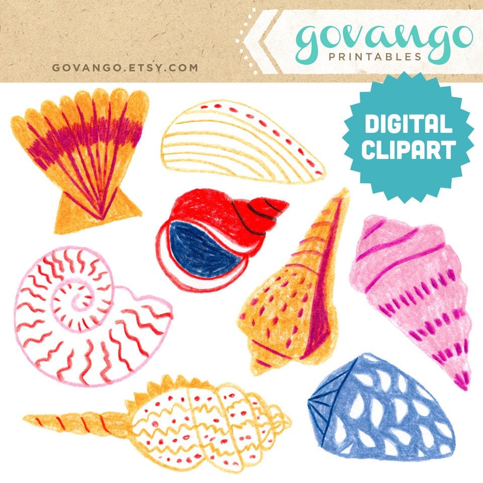 SEASHELLS Digital Clipart Instant Download Illustration Clip | Etsy