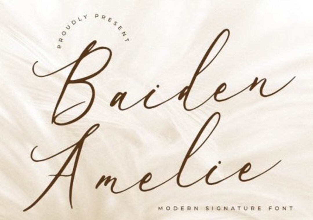 Baiden Amelie Font, Cute Font, Cricut Font, Casual Font, Modern Font ...