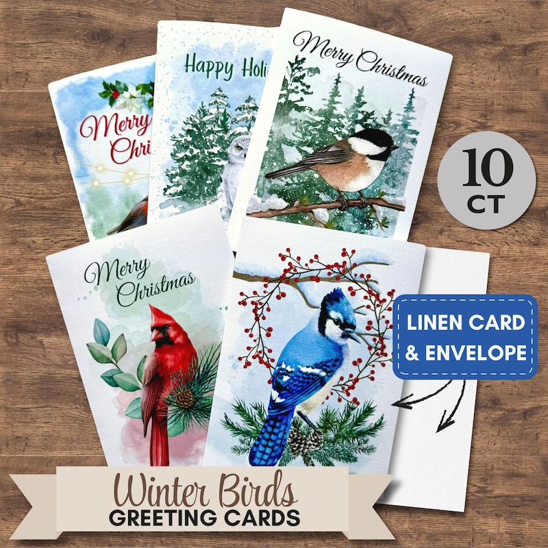 Watercolor Bird Card Set - Etsy