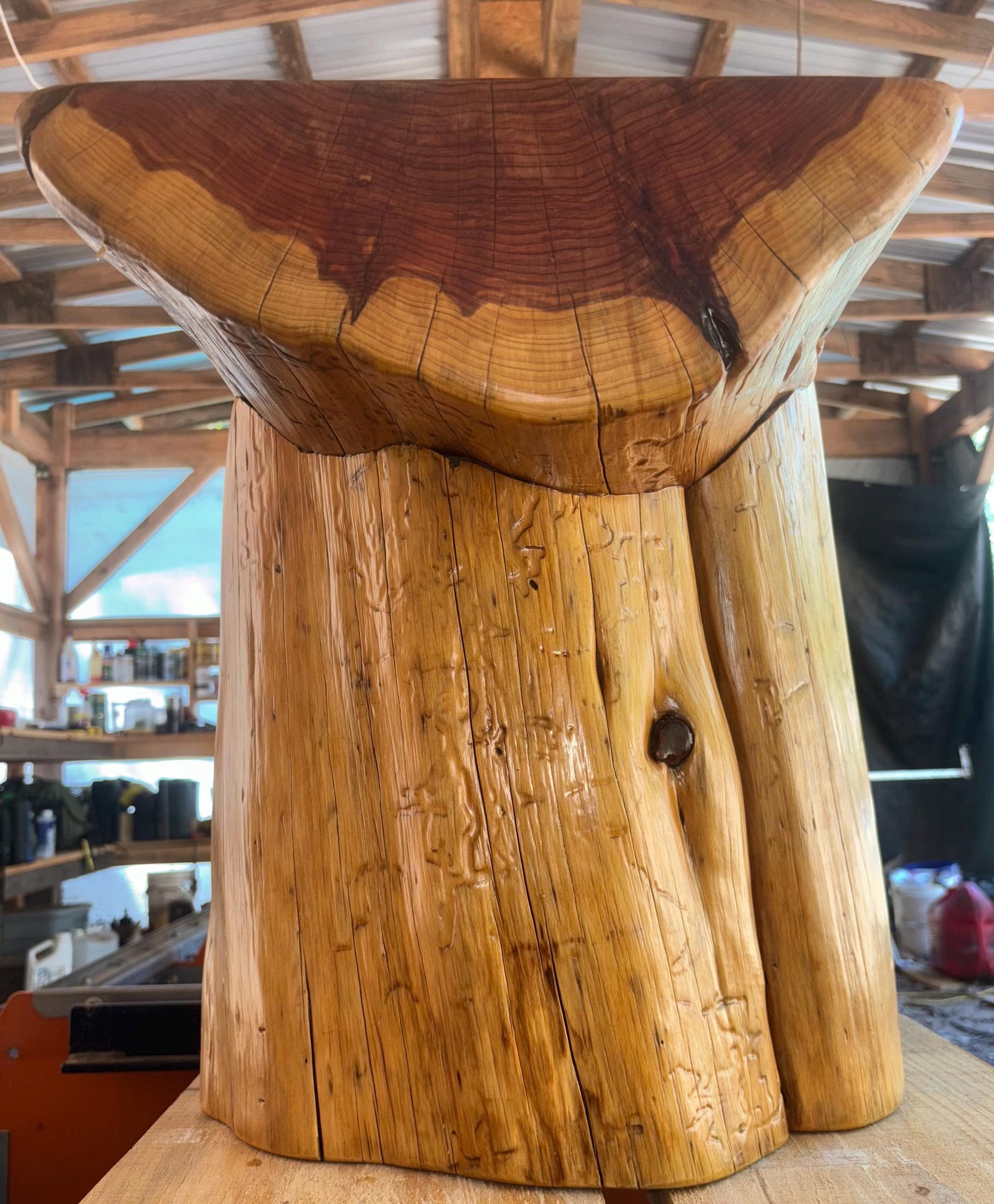 Eastern Red Cedar Log Bench - Etsy