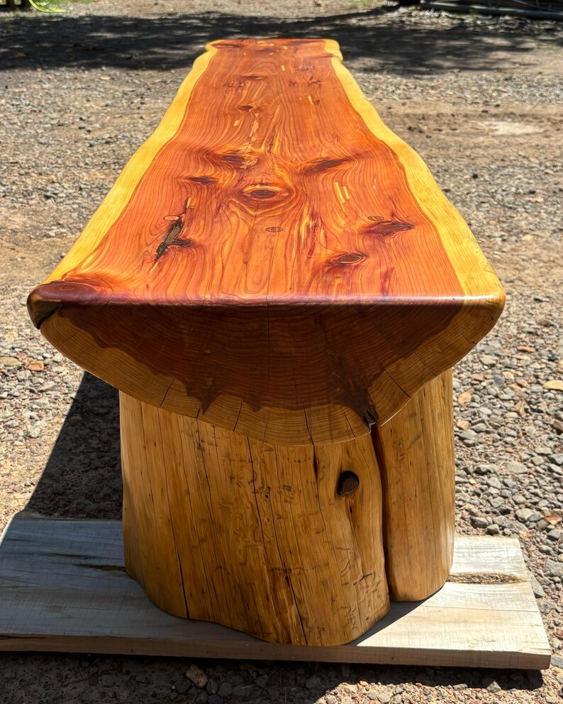Eastern Red Cedar Log Bench - Etsy