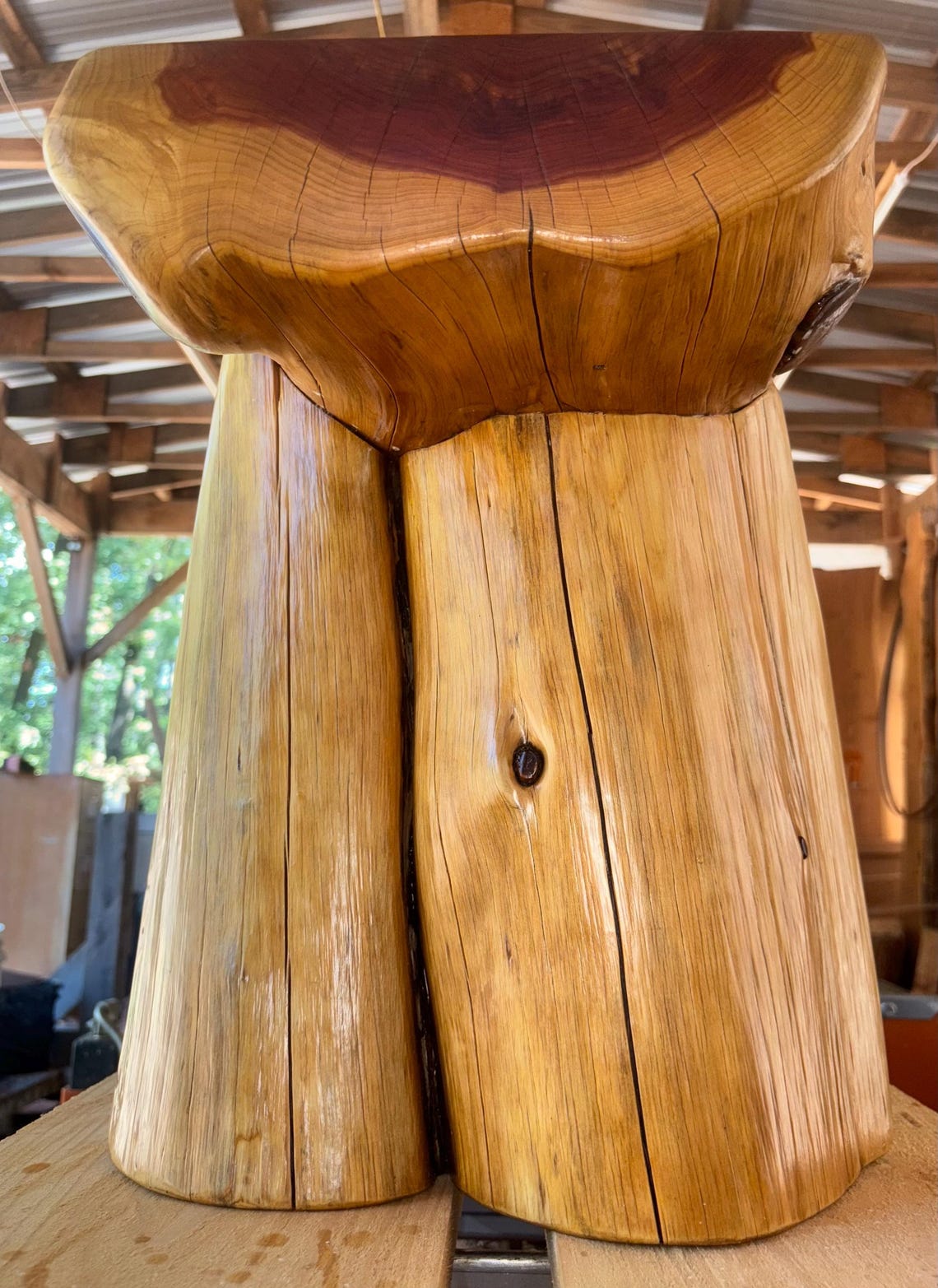 Eastern Red Cedar Log Bench - Etsy