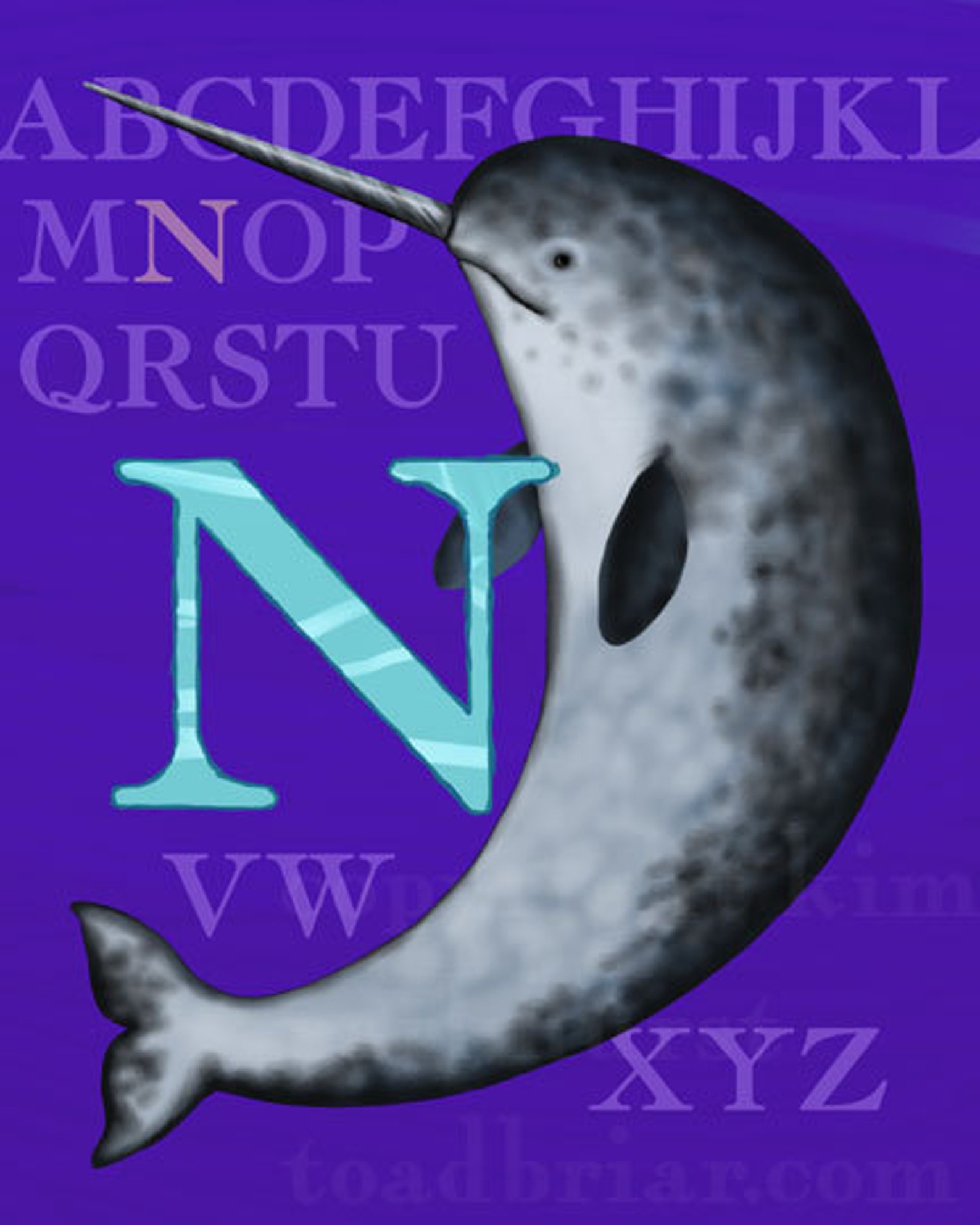 N Narwhal Alphabet Print 8x10 Signed - Etsy