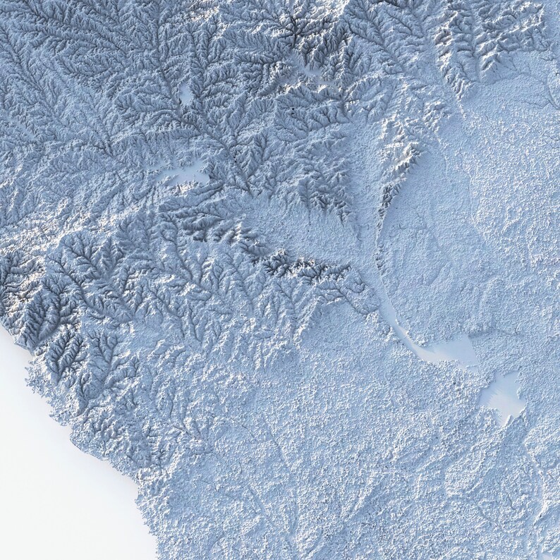 South Carolina Minimalist Relief Map Stylized Cartography Elevation ...