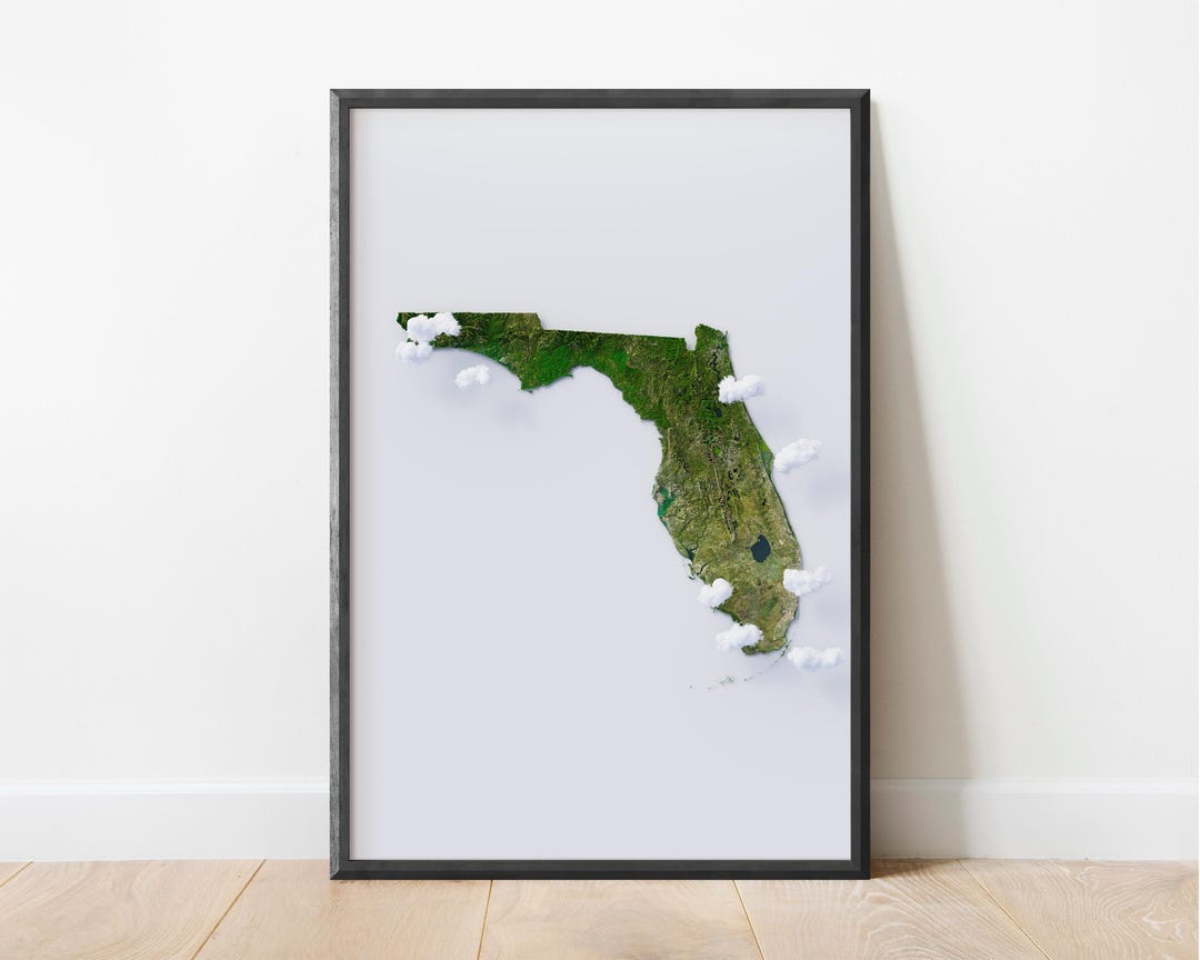 Florida Satellite Topography Relief Map Wall Art | Stylized Cartography ...