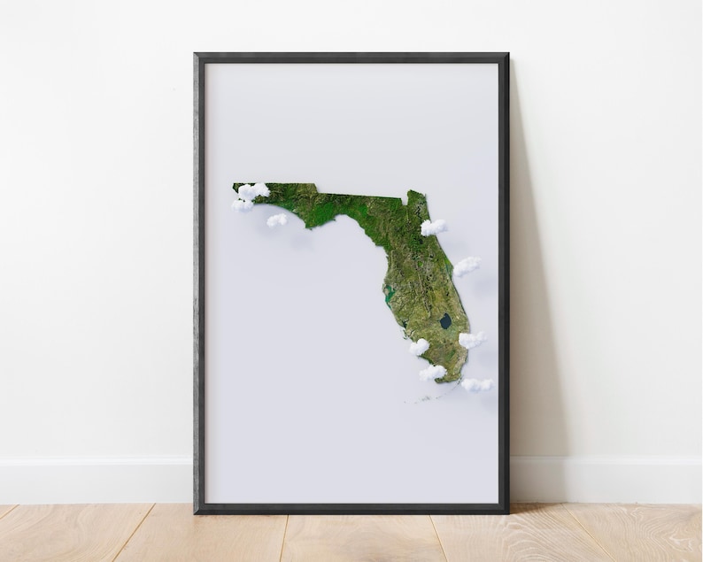 Florida Satellite Topography Relief Map Wall Art | Stylized Cartography ...
